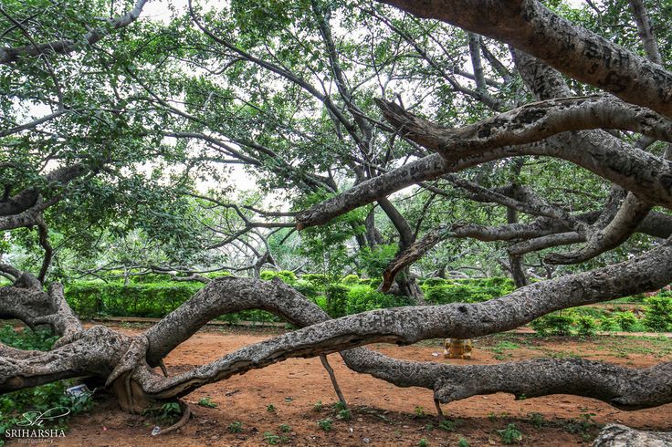 Places to Visit in Telangana