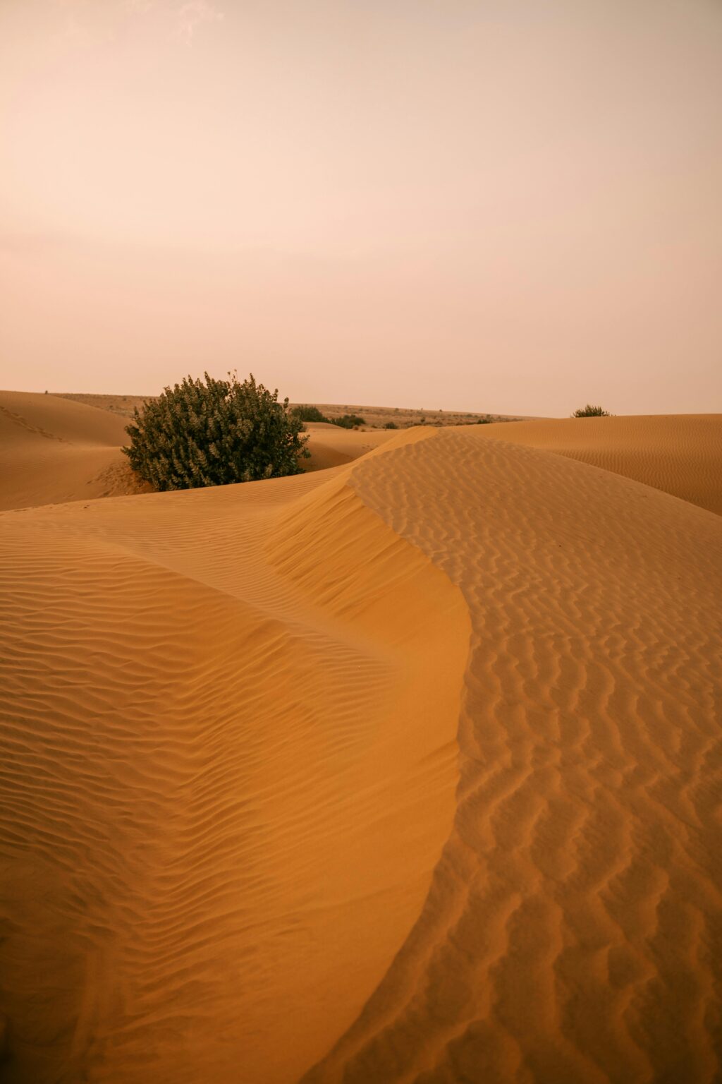 India’s Famous Deserts